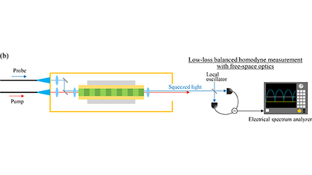Over-8-dB squeezed light generation by a broadband waveguide optical parametric amplifier toward ...