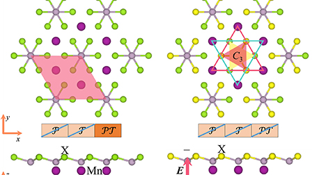 Spin–valley splitting and spontaneous valley polarization in ...