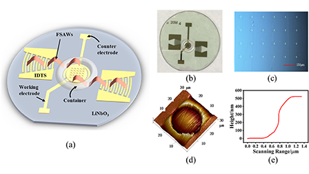 Asymmetrically aligned focused acoustic waves for enhancing sensing ...
