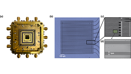 Large active-area superconducting microwire detector array with single-photon sensitivity in the ...