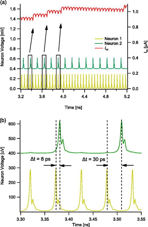 A superconducting synapse exhibiting spike-timing dependent plasticity ...