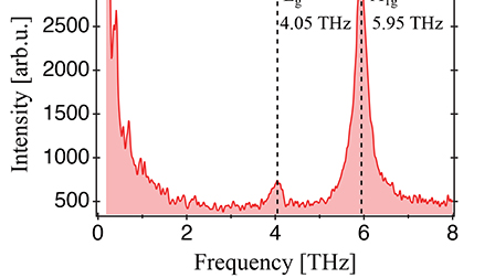 Ultrafast melting of charge-density wave fluctuations at room temperature in 1T-TiSe2 monitored ...