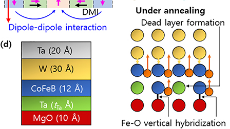 Atomic scale interface engineering for realizing a perpendicularly ...