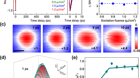 Long-distance transport of hot carriers due to acoustic phonon ...