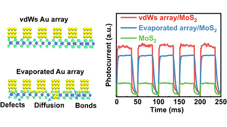 Van der Waals integrated plasmonic Au array for self-powered MoS2 ...