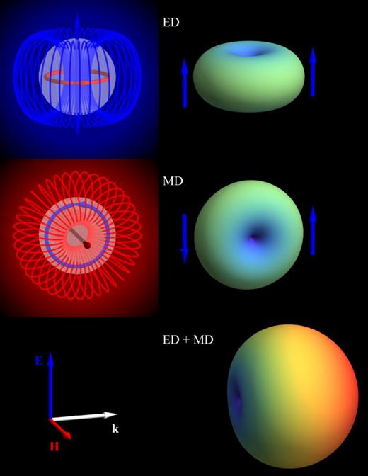 Microwave backscatter enhancement using radial anisotropy in biomimetic ...