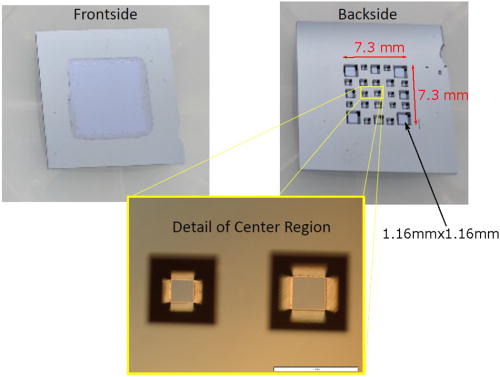 Optical spring effect enhanced by optical parametric amplifier ...