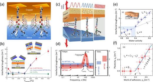 Engineering inorganic interfaces using molecular nanolayers | Applied ...