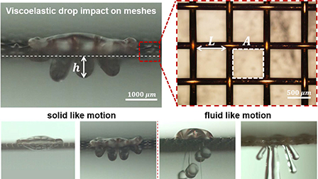 Rational understanding of viscoelastic drop impact dynamics on porous surfaces considering ...