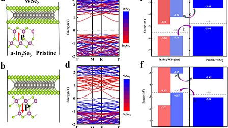 Tuned band offset in homogenous TMDs via asymmetric ferroelectric ...