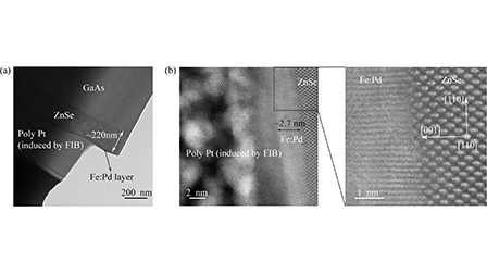 MBE-grown Fe:Pd/ZnSe Schottky-barrier photodetector: Distinguishing ...