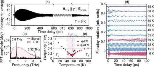Magneto-optical detection of terahertz cavity magnon-polaritons in ...