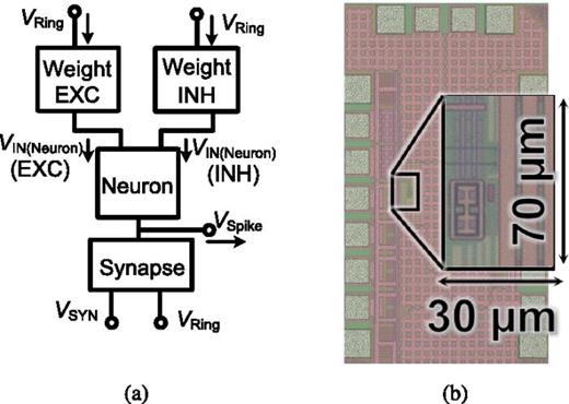 CMOS-based area-and-power-efficient neuron and synapse circuits for time-domain analog spiking ...