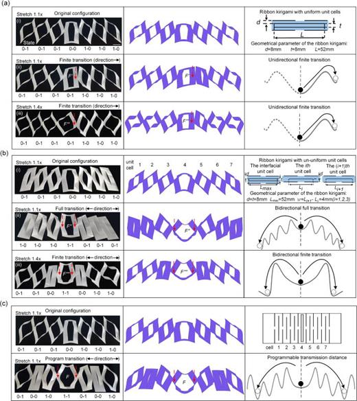 Reprogrammable multistable ribbon kirigami with a wide cut | Applied ...