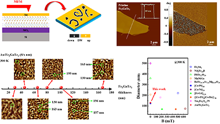 Field-free room-temperature modulation of magnetic bubble and stripe ...