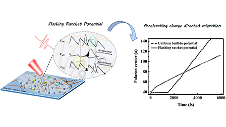 Flashing ratchet effect for driving carriers to accelerate directional ...