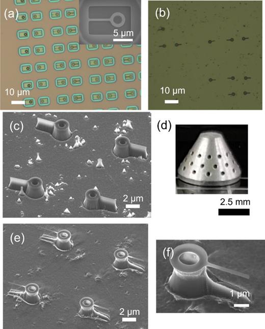 Hybrid integration of ensemble nitrogen-vacancy centers in single ...
