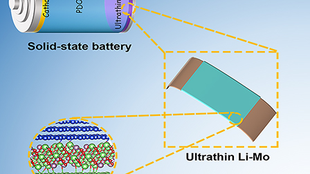 MoO3 facilitator enables ultrathin and stabilized Li metal anode for ...