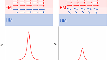Spin reorientation induced large spin memory loss at Py/Pd interface ...