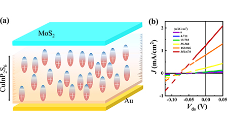 Bulk photovoltaic and photoconductivity effects in two-dimensional ferroelectric CuInP2S6 based ...