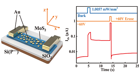 Surface-plasmon-enhanced MoS2 multifunctional optoelectronic memory for ...