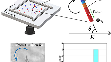 Mechanism of silicon-nanowire-diode orientation in DC electric fields ...