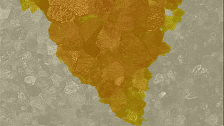Visualization of resistance distribution and microstructure in locally ...