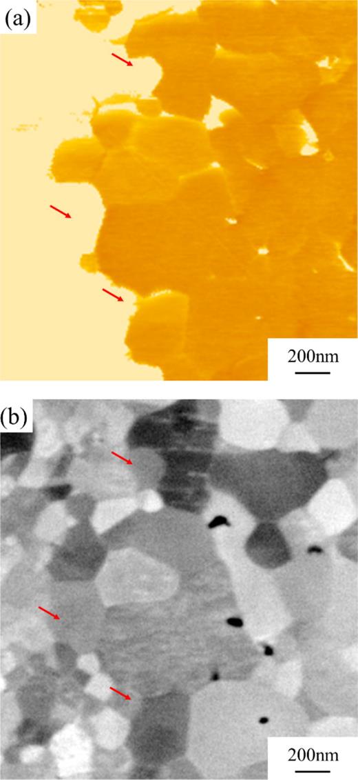 Visualization of resistance distribution and microstructure in locally ...