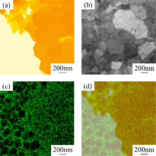 Visualization of resistance distribution and microstructure in locally ...