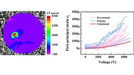 Visualizing multi-physical spatiotemporal evolution of dielectric breakdown in high-performance ...