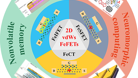 Two-dimensional van der Waals ferroelectric field-effect transistors toward nonvolatile memory ...