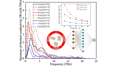 A neuroevolution potential for predicting the thermal conductivity of α ...