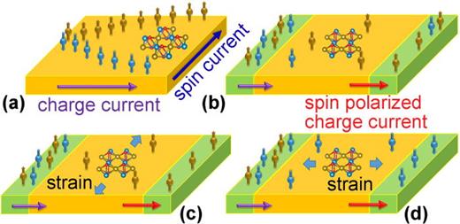 Giant spin-splitting and tunable spin-momentum locked transport in room ...