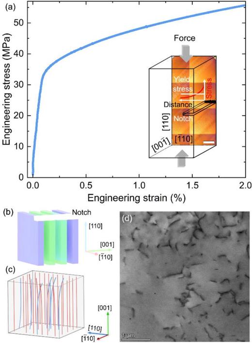 Observation of dislocation-controlled domain nucleation and domain-wall ...