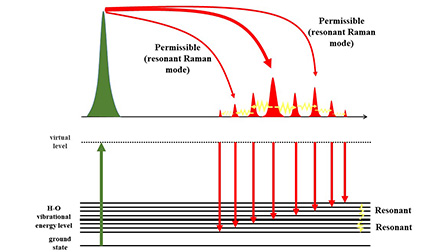 Enhancement of the stimulated Raman scattering of aqueous sulfuric acid ...
