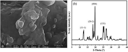 Piezoelectric properties of ZnO nanowire arrays/DAST-PDMS flexible ...