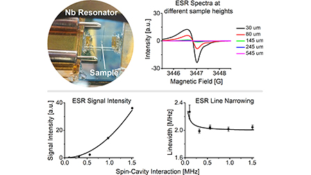 Electron spin resonance spectroscopy using a Nb superconducting ...