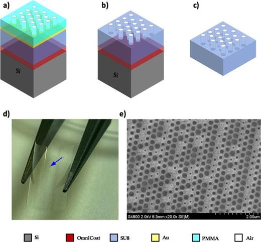 Thin-film polymeric metasurfaces for visible wavelengths | Applied ...