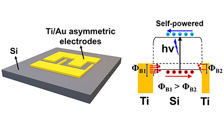 Self-powered silicon metal–semiconductor–metal photodetector based on asymmetric Schottky ...