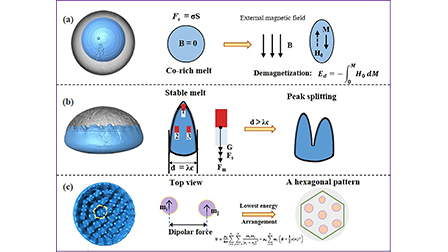 Magnetic field induced instability pattern evolution in an immiscible ...
