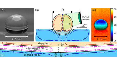 Self-sustaining levitation of droplets above a liquid pool | Applied ...