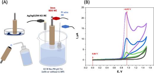 Intermittent pulse amperometry as an effective electrochemical assay of ...