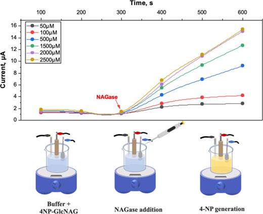 Intermittent pulse amperometry as an effective electrochemical assay of ...