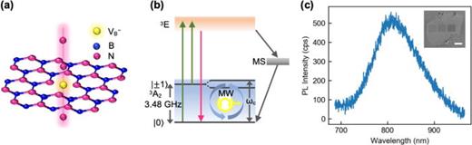 Coupling spin defects in hexagonal boron nitride to a microwave cavity ...
