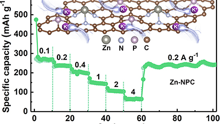 Nitrogen/phosphorus co-doped carbon decorated with metallic zinc for ...