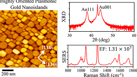 Growth of highly oriented crystalline gold nanoislands on MgO(001 ...