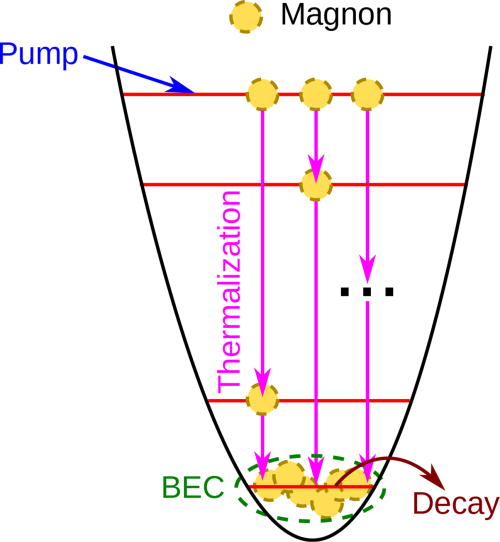 Magnon Bose–Einstein condensates: From time crystals and quantum ...