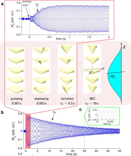 Magnon Bose–Einstein condensates: From time crystals and quantum ...