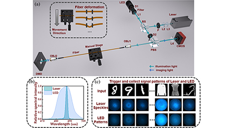 Optimizing anti-perturbation capability in single-shot wide-field ...