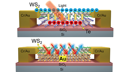Interface engineering by constructing vertical junction for reduced ...